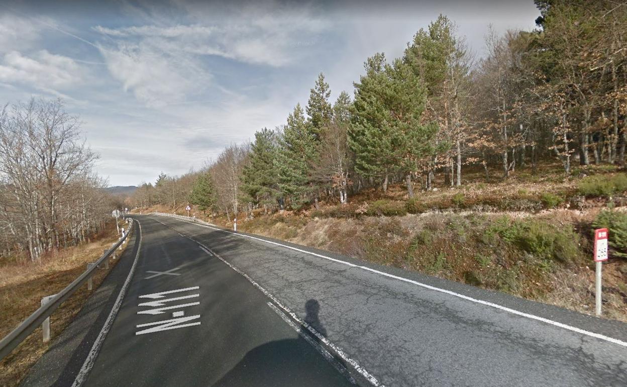 Restablecida la normalidad en el tráfico en la N-111 tras el choque de un vehículo con un animal ...